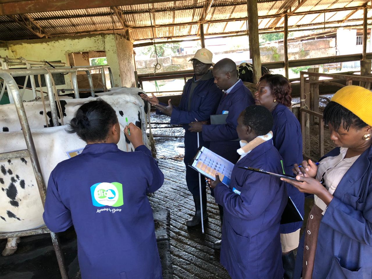 Dairy Management Course Practical Dairy Training Centre
